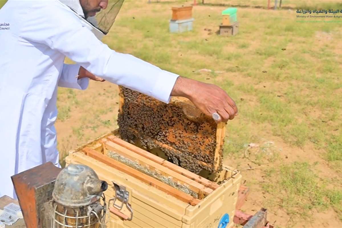 Bee Labs | Ministry of Environment Water & Agriculture | Bee Labs ...